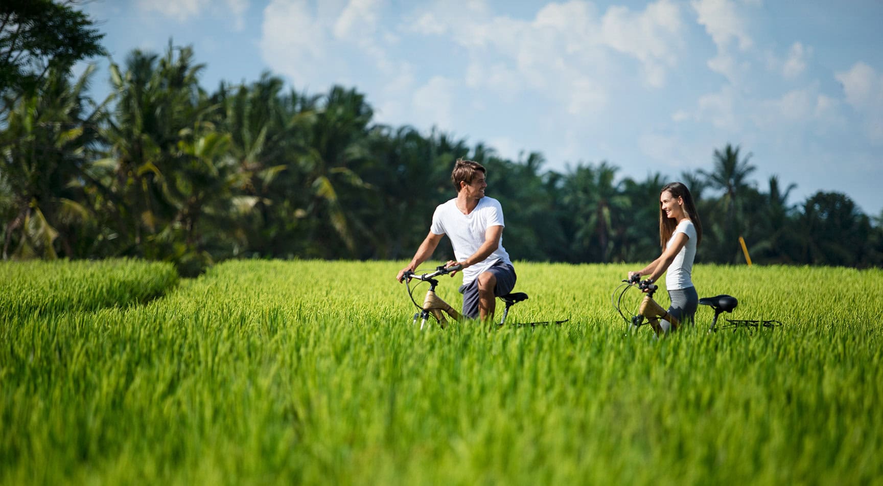 Rice fields - model - 1 - Luxina.ID